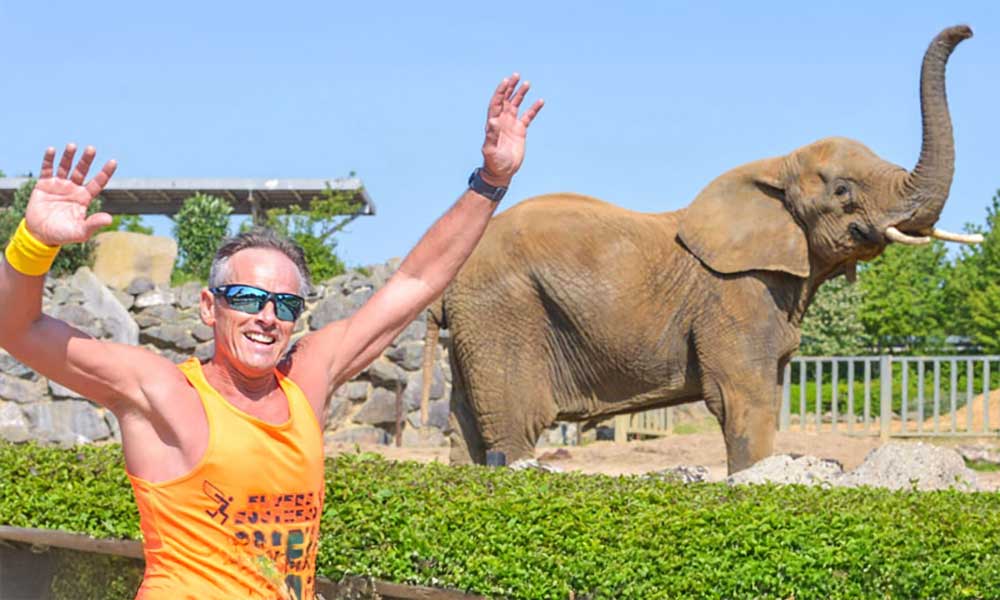 Colchester Zoo Stampede - The Elizabeth Foundation for Preschool Deaf ...